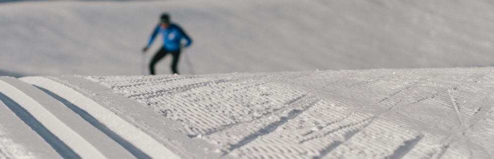 Trail Conditions | Nordiq Alberta